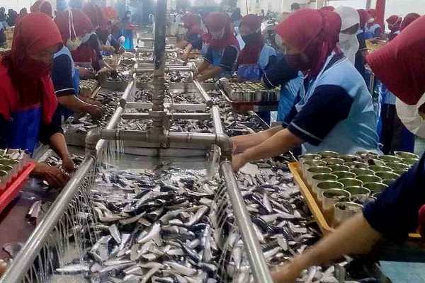 Tentang Suri Bonda - Suri Bonda